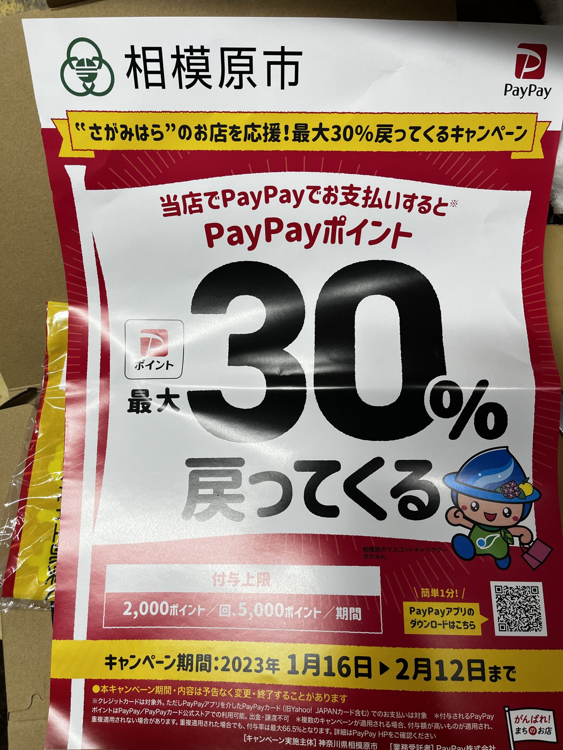PayPay30％戻ってくる | 相模原 そばや 池乃家